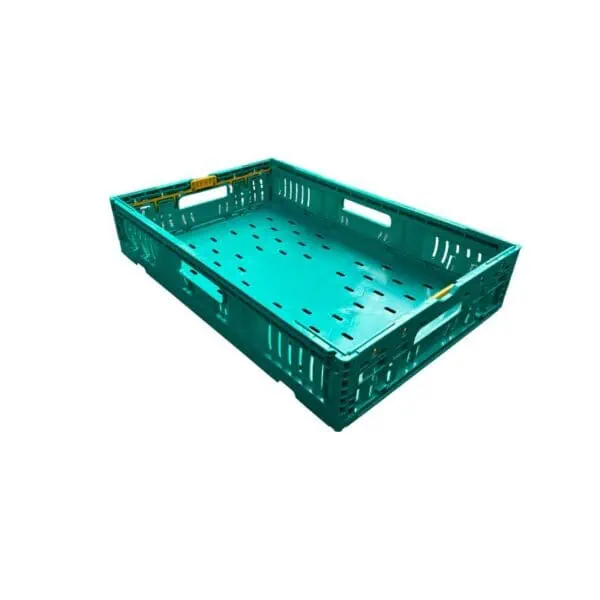 Foldable Produce Crate — Solution for Fresh Produce Handling